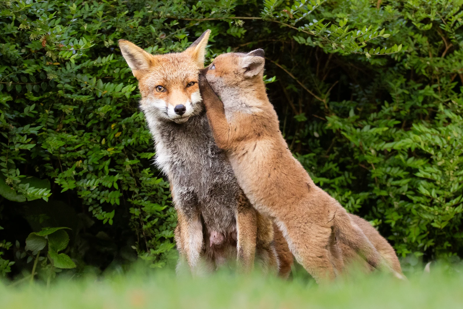 Contact - Sam Coppard Photography